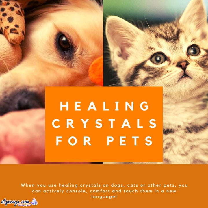 Healing Crystals For Pets – AtPerry's Healing Crystals