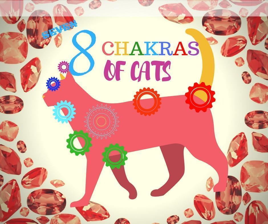 EIGHT Chakras to Gift your Cat the Power of Healing – AtPerry's Healing ...