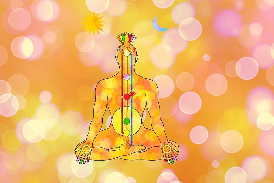 Learning the Minor or Secondary Chakras In the Human Body – AtPerry's ...